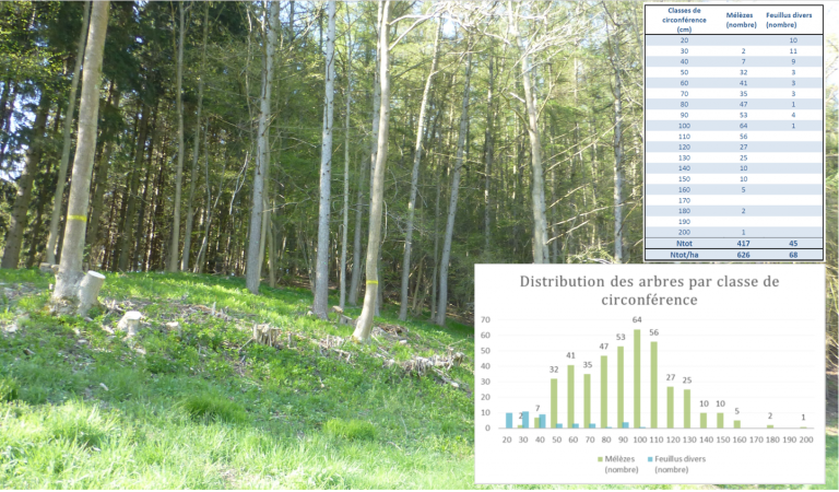 Estimation de la valeur d'une parcelle forestière - TER. Les ingénieurs ...